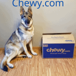 A Review of Chewy.com - Lilies, Love, and Luna