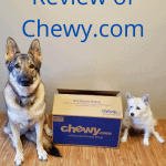 A Review of Chewy.com - Lilies, Love, and Luna