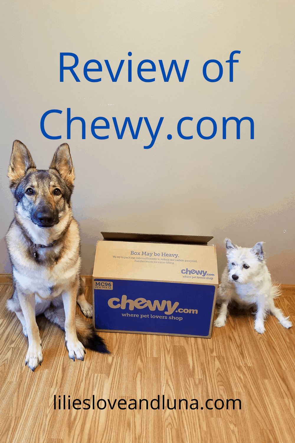 A Review of Chewy.com - Lilies, Love, and Luna