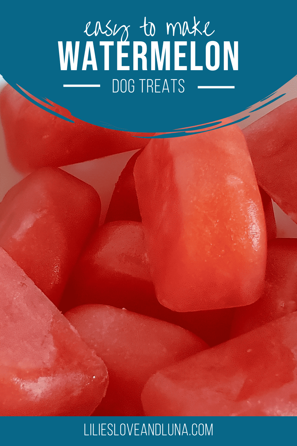 Easy Frozen Watermelon Dog Treats - Lilies, Love, and Luna