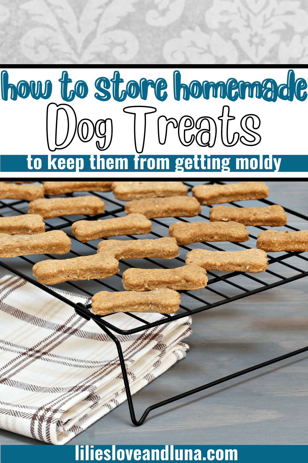 How To Store Homemade Dog Treats Lilies Love And Luna