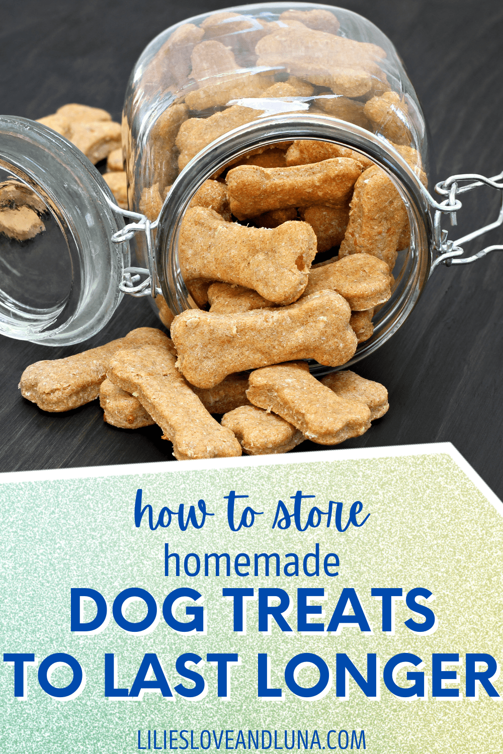 How To Store Homemade Dog Treats Lilies Love And Luna