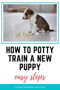 How To Potty Train Your New Puppy - Lilies, Love, and Luna