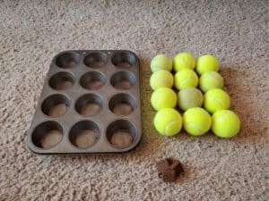The Muffin Tin Game: An Easy Game For Your Dog - Lilies, Love, and Luna