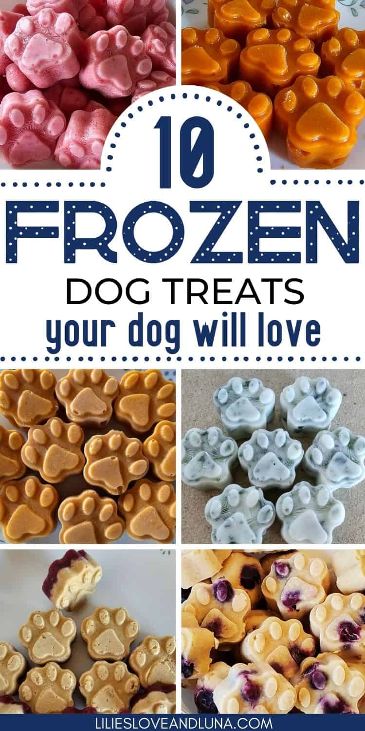 The 10 Best Frozen Dog Treats - Lilies, Love, and Luna