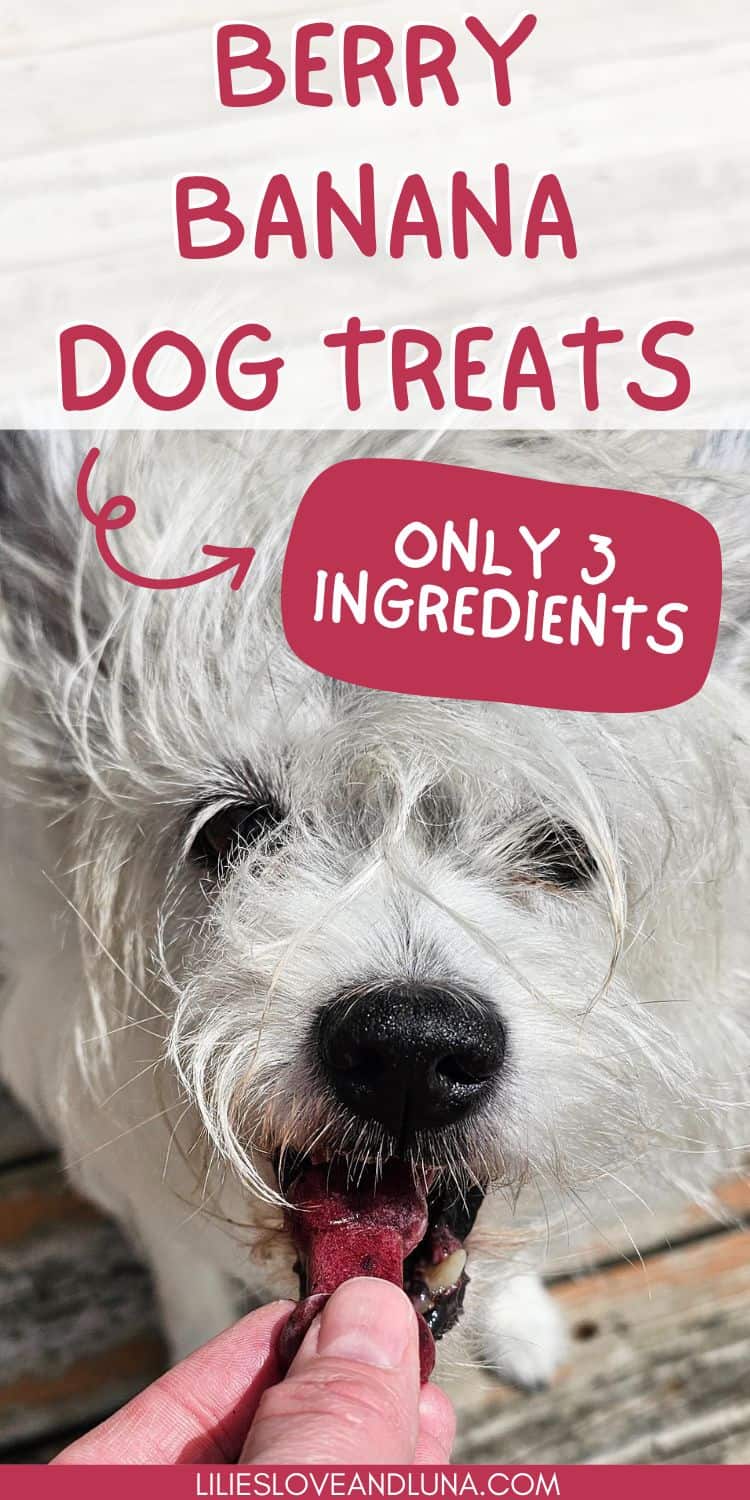 Homemade Banana Berry Frozen Dog Treats - Lilies, Love, and Luna