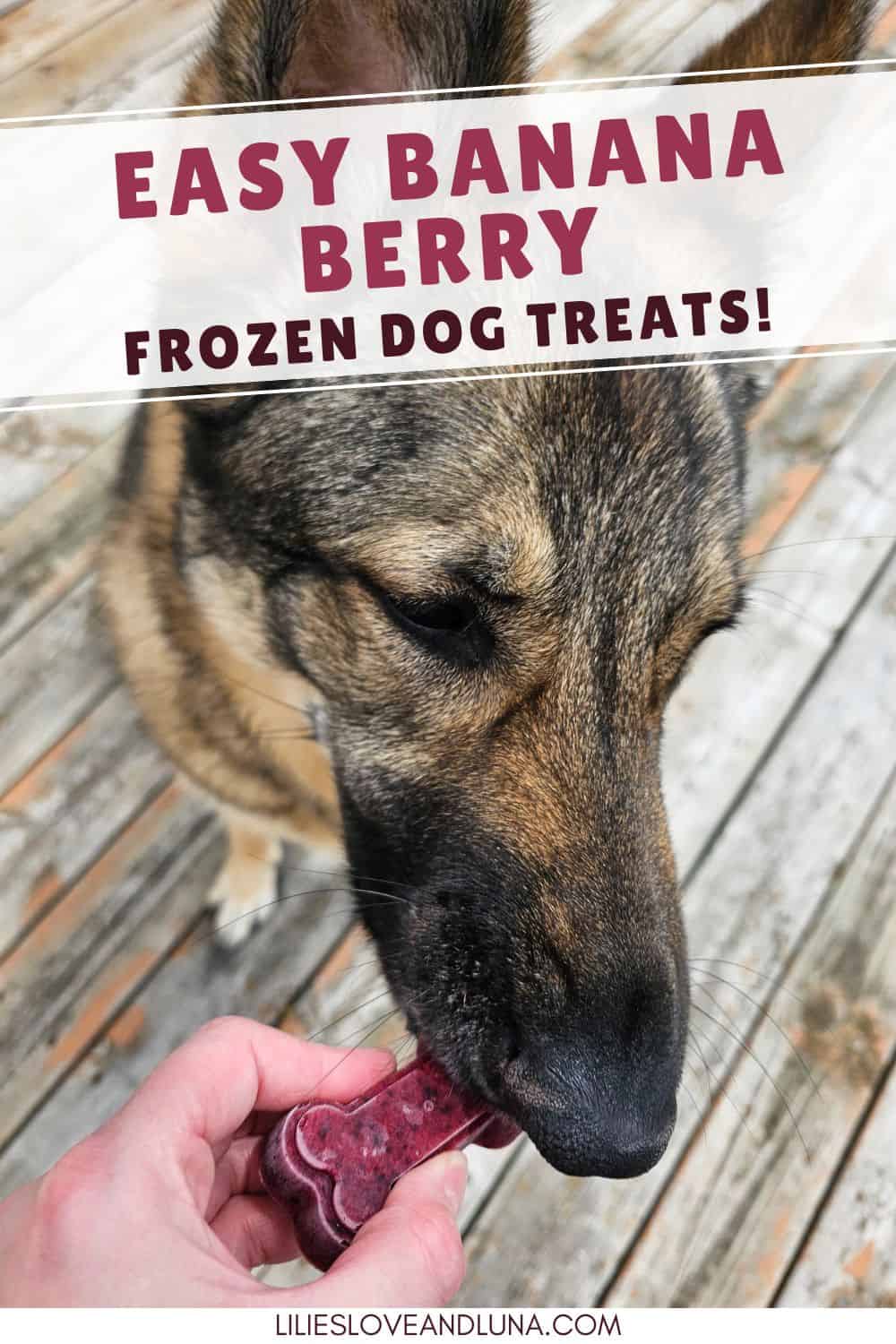 Homemade Banana Berry Frozen Dog Treats - Lilies, Love, and Luna