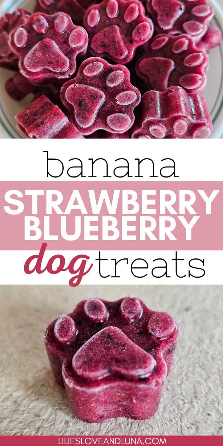 Homemade Banana Berry Frozen Dog Treats - Lilies, Love, and Luna