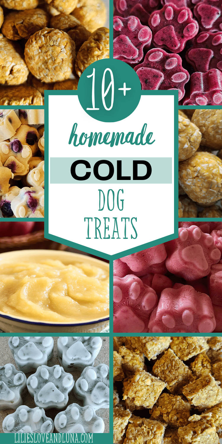 10+ Delicious Cold Dog Treat Recipes - Lilies, Love, and Luna