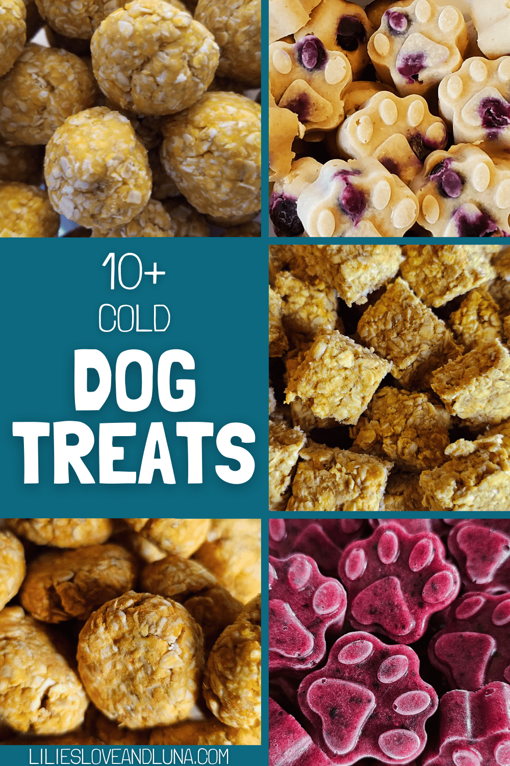 10+ Delicious Cold Dog Treat Recipes - Lilies, Love, and Luna