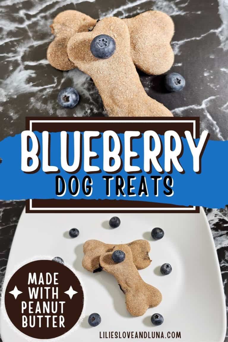 Baked Blueberry Dog Treats - Lilies, Love, and Luna
