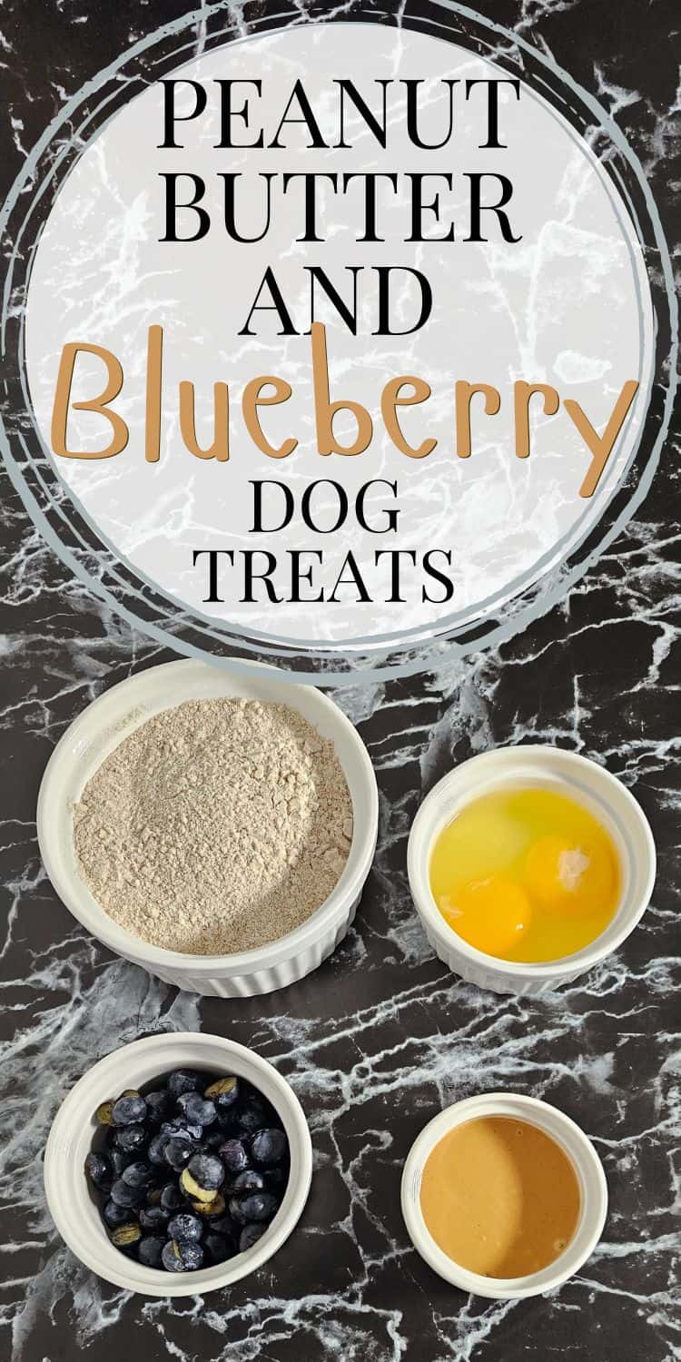 Baked Blueberry Dog Treats - Lilies, Love, and Luna