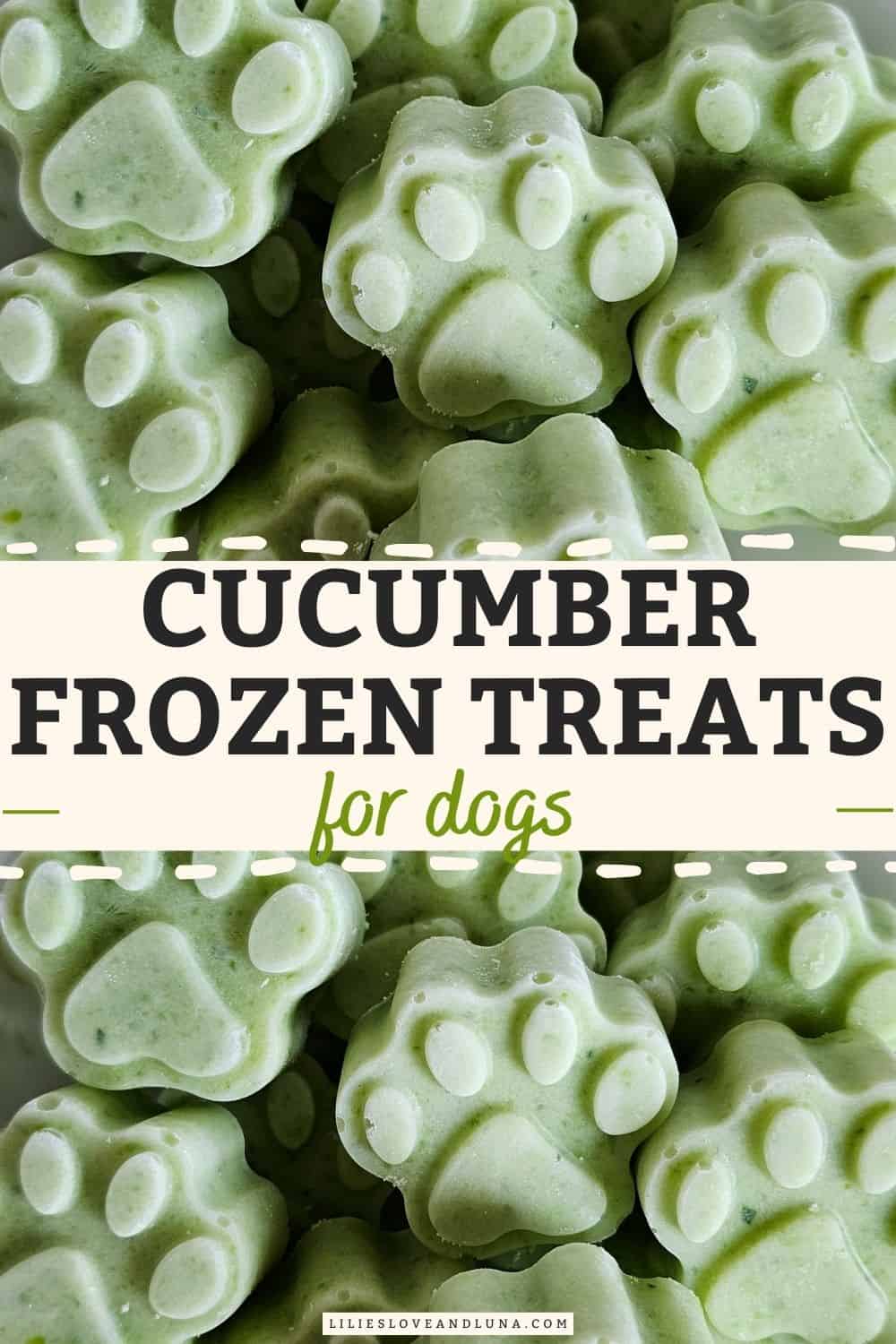 Homemade Cucumber Yogurt Frozen Dog Treats - Lilies, Love, and Luna