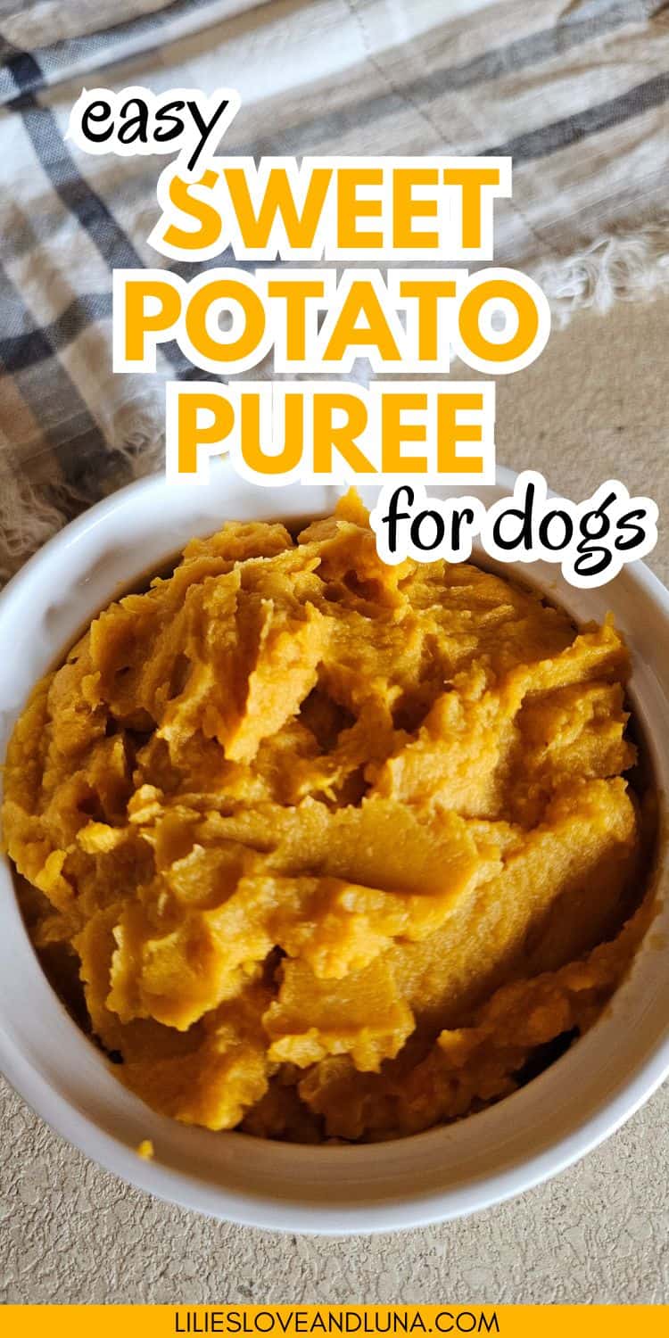 How to Make Sweet Potato Puree for Dogs - Lilies, Love, and Luna