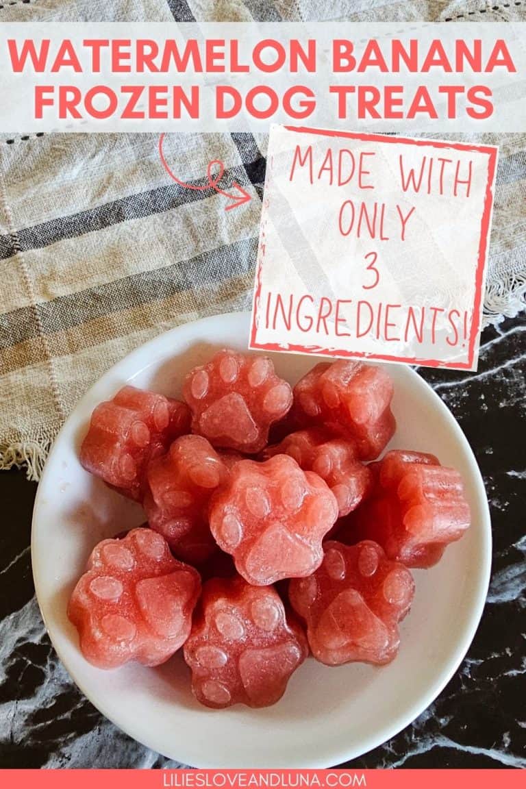 Banana Watermelon Frozen Dog Treats - Lilies, Love, and Luna