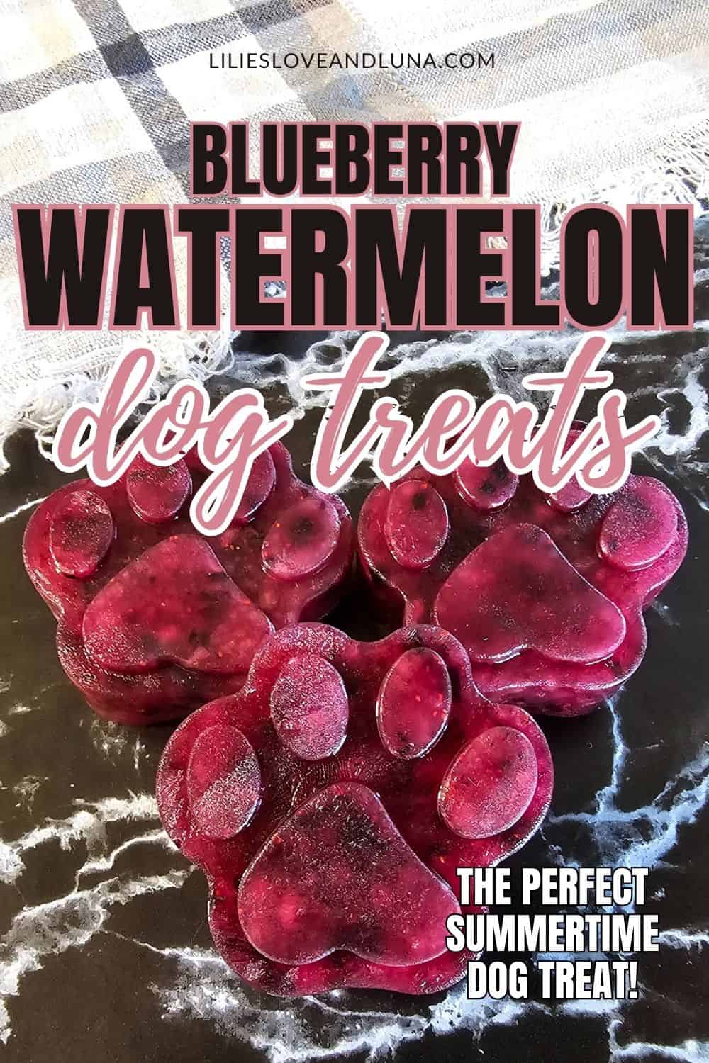 Frozen Watermelon Blueberry Dog Treats - Lilies, Love, and Luna