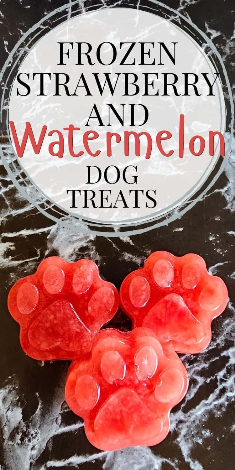Frozen Strawberry Watermelon Dog Treats - Lilies, Love, and Luna