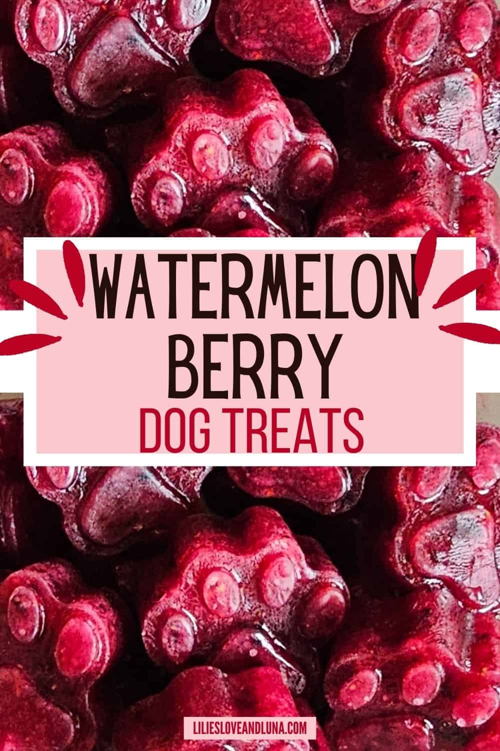 Watermelon Berry Frozen Dog Treats - Lilies, Love, and Luna