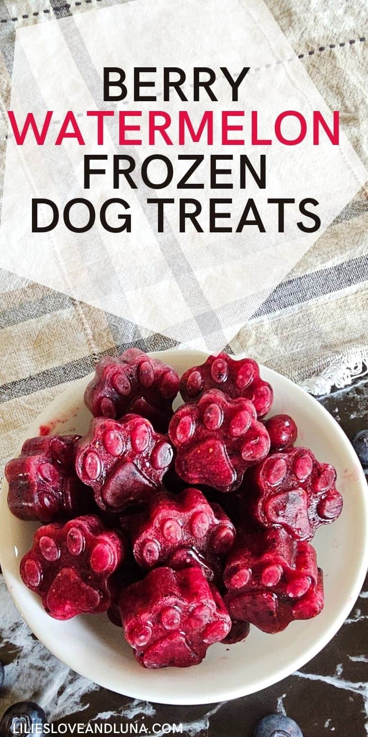 Watermelon Berry Frozen Dog Treats - Lilies, Love, and Luna