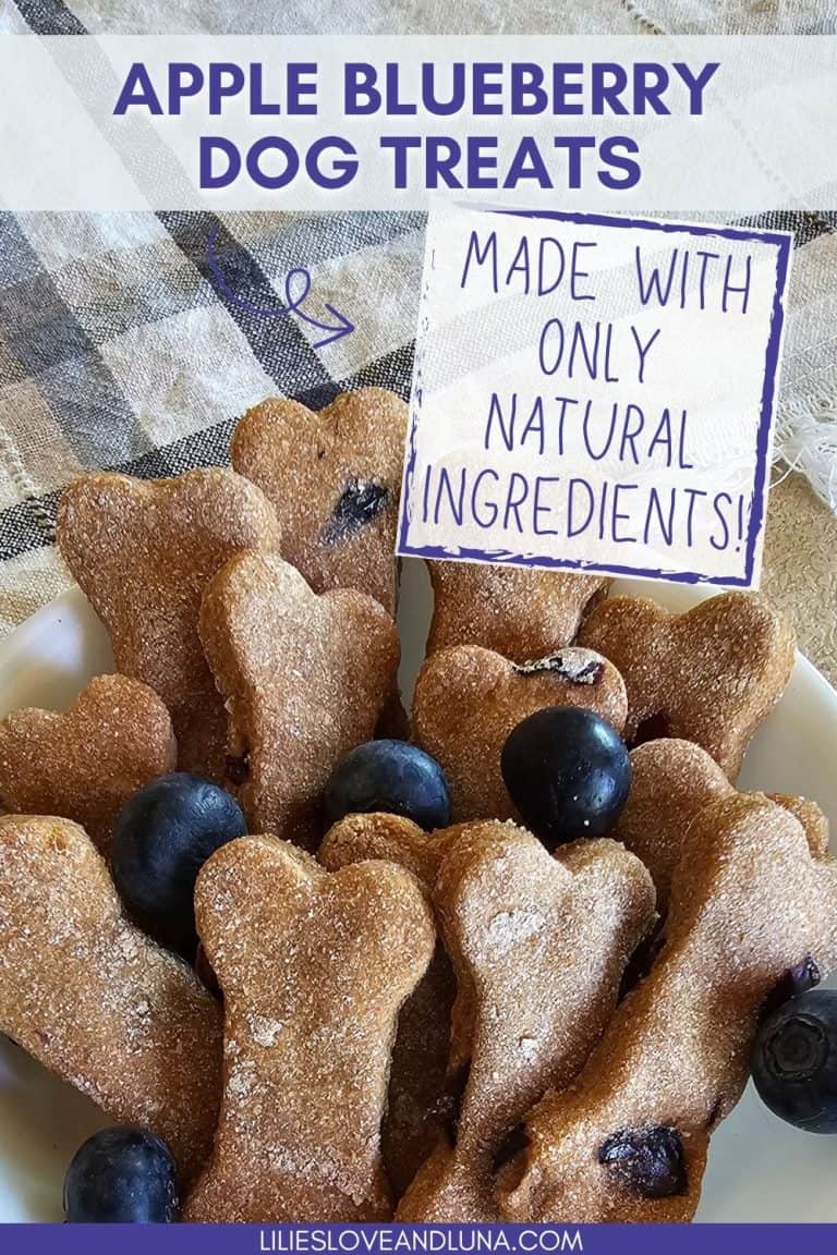 Easy Apple Blueberry Dog Treats Recipe - Lilies, Love, and Luna