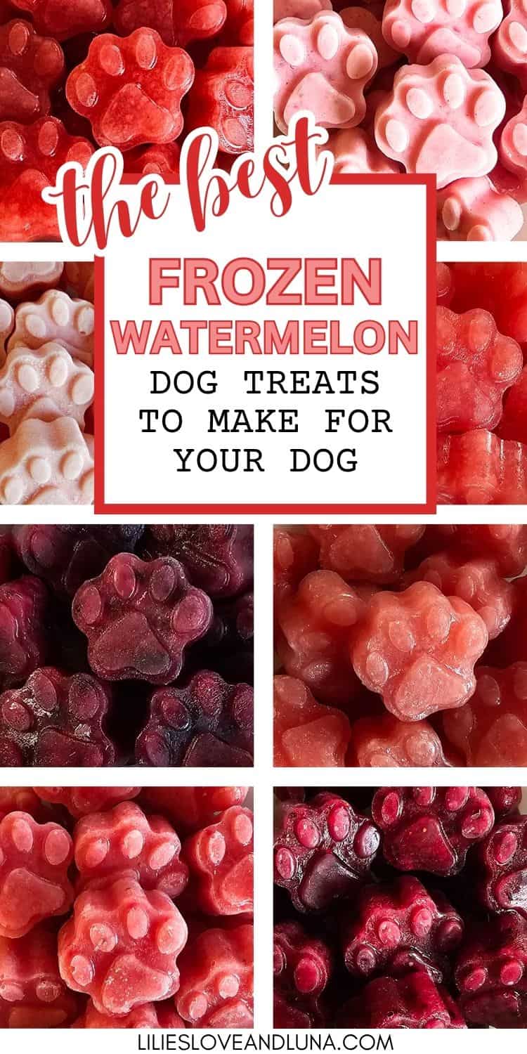 Watermelon Dog Treats For Summer - Lilies, Love, and Luna