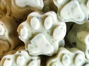 Homemade Frozen Mint Dog Treats - Lilies, Love, and Luna