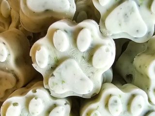Homemade Frozen Mint Dog Treats - Lilies, Love, and Luna