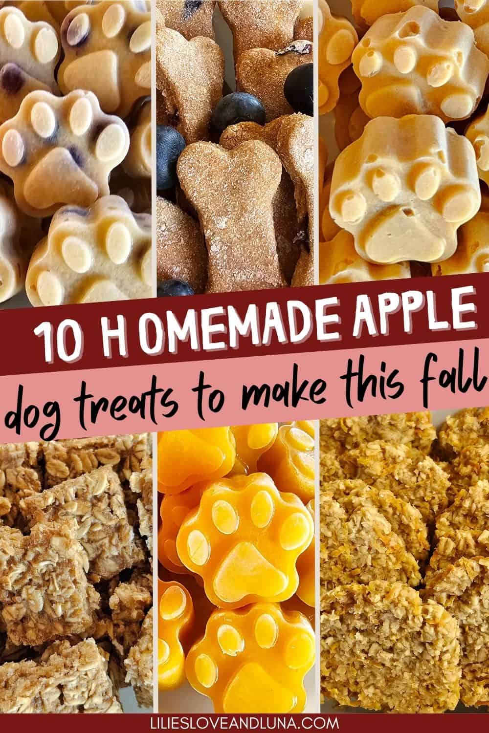 Homemade Apple Dog Treats Your Dog Will Love - Lilies, Love, and Luna