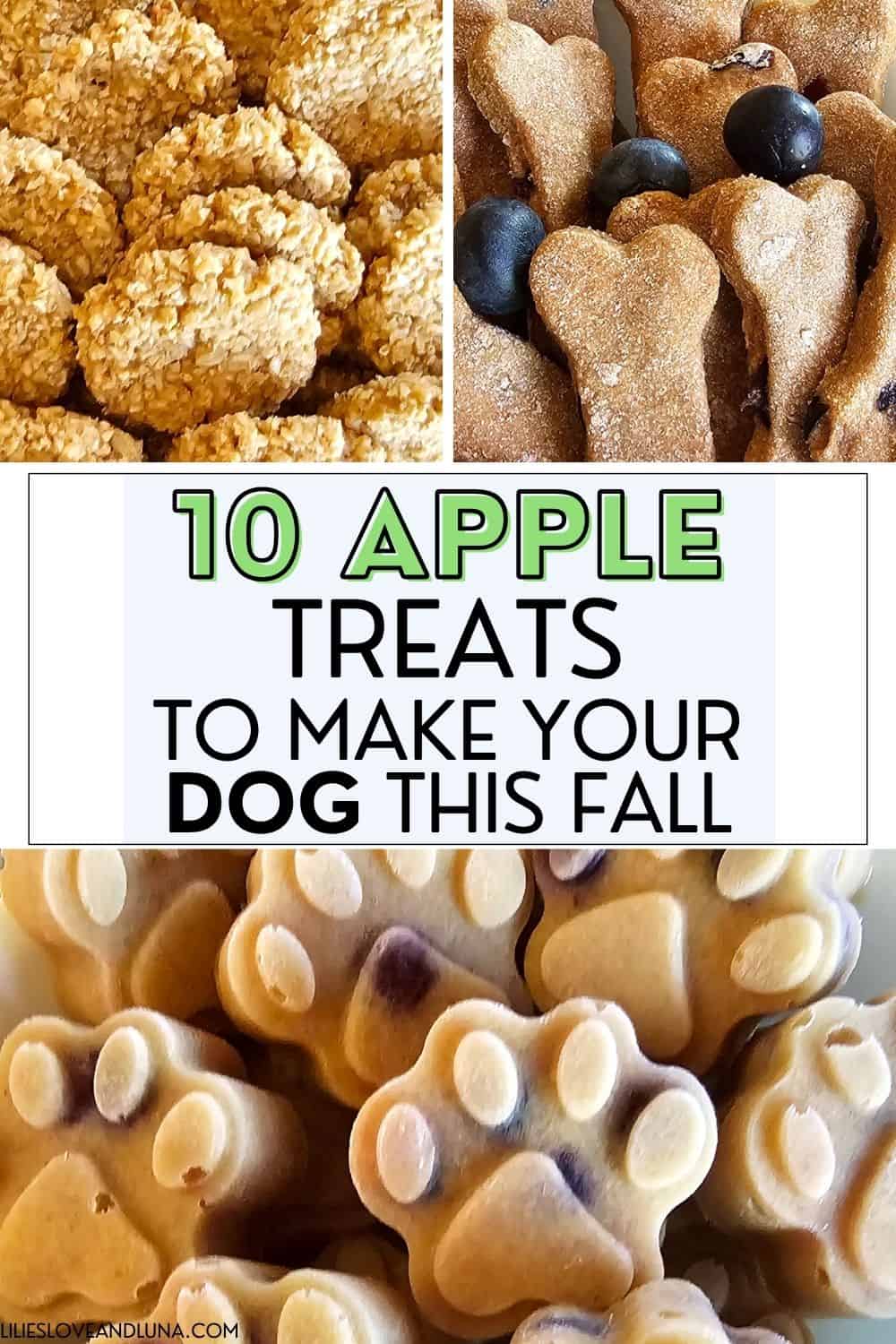 Homemade Apple Dog Treats Your Dog Will Love - Lilies, Love, and Luna